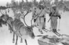 This Reindeer Battalion of WWII Was Braver than Soviets, Tougher Than Tanks
