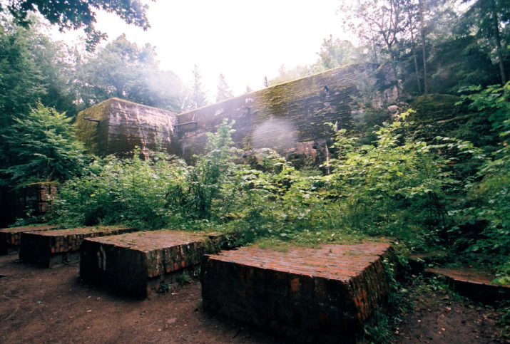 Hitler's "Wolf's Lair" As It Is Today - The Military Headquarters for ...