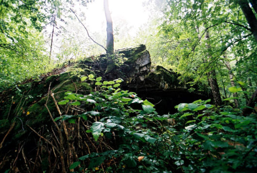 Hitler's "Wolf's Lair" As It Is Today - The Military Headquarters for ...