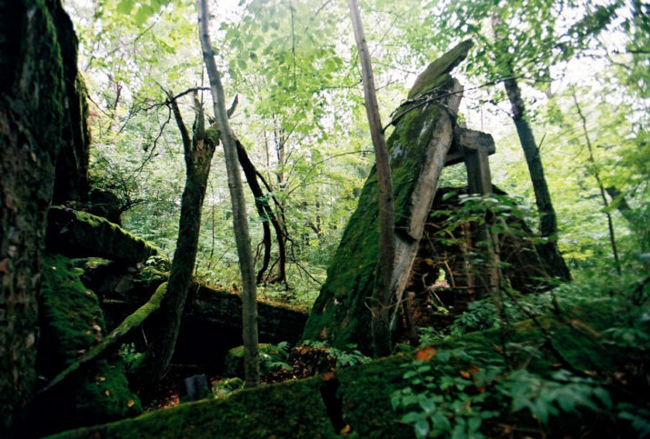 Hitler's "Wolf's Lair" As It Is Today - The Military Headquarters for ...