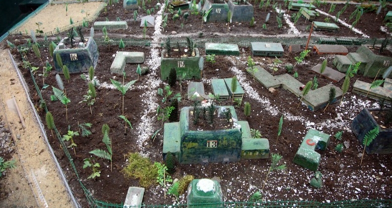 Hitler's "Wolf's Lair" As It Is Today - The Military Headquarters for ...