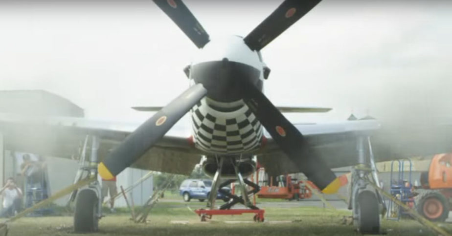 This P-51 Mustang Restoration Wasn't Complete Without Operational ...