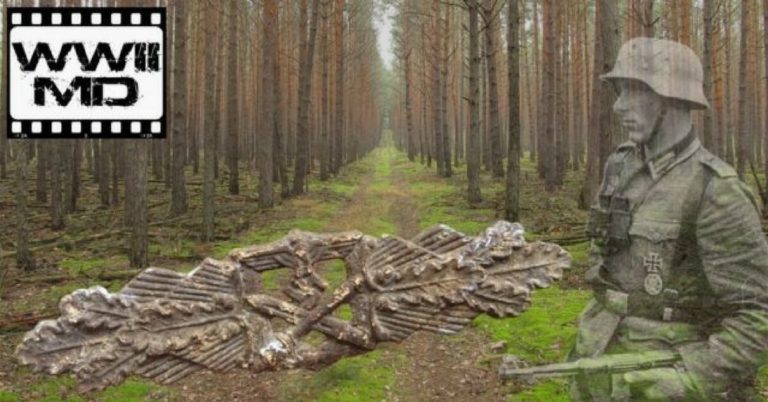 Battlefield Research on the Eastern Front - Amazing Metal Detector ...