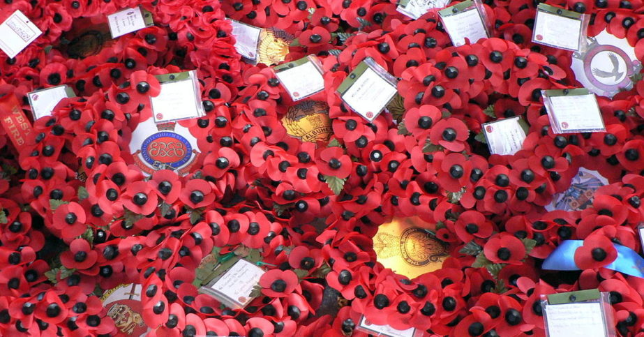 The History of the Red Poppy as a Symbol of Remembrance | War History ...