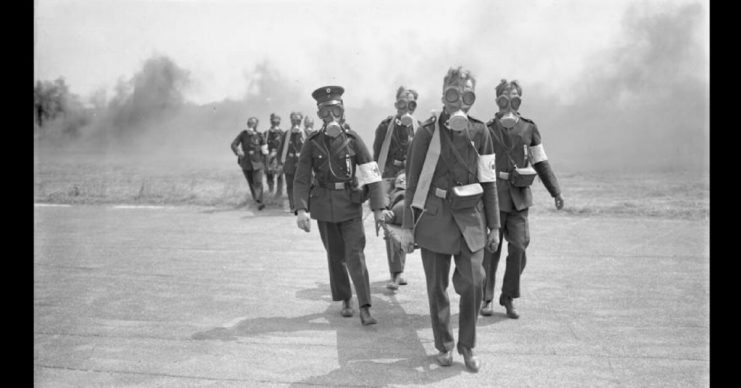 The German Red Cross - Locating Missing Persons From WWII Up To The ...