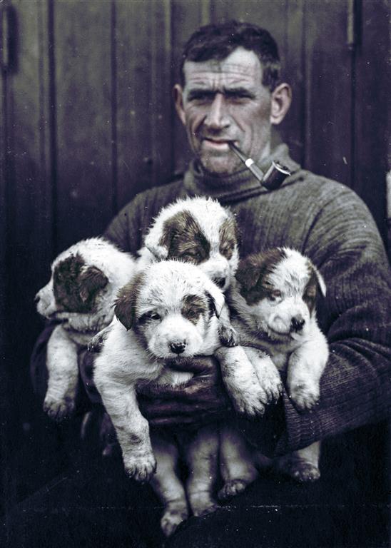 Antarctic Explorers in Colour - By Rebecca Drew and Michael Carroll ...