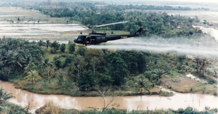 Agent Orange’s Long Legacy: Its Now Affecting Vets' Grandchildren | War ...