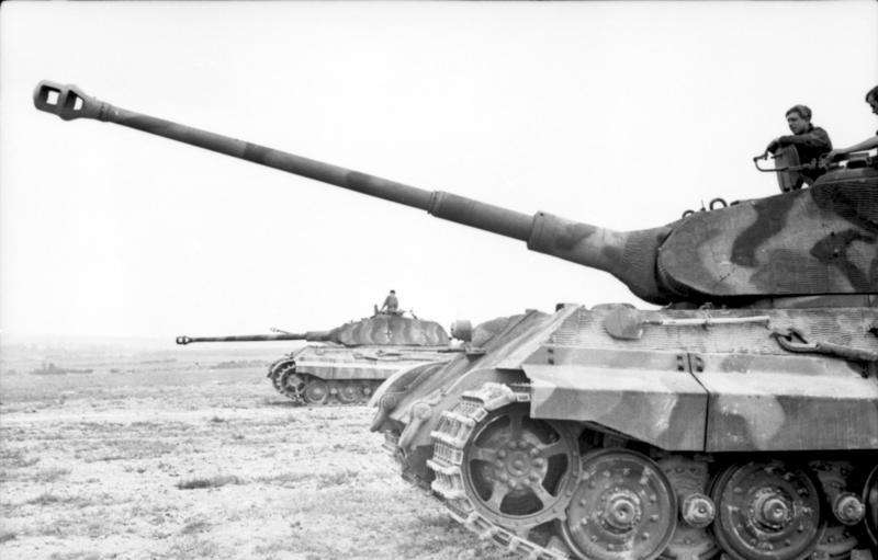 25 Stunning Photos of the King Tiger - Some We Haven't Seen Before ...