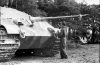 25 Stunning Photos of the King Tiger - Some We Haven't Seen Before ...