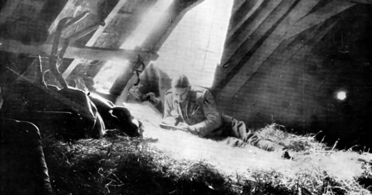 WWI Journal Reveals Wartime Challenges & is Essential to Understanding ...