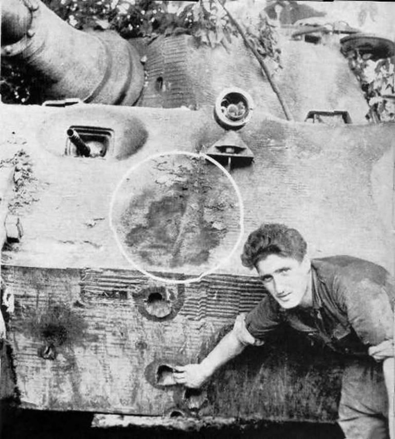 25 Stunning Photos of the King Tiger - Some We Haven't Seen Before ...