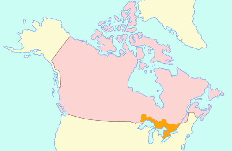 American Filibusters for Canadian Independence - The Rise of the ...