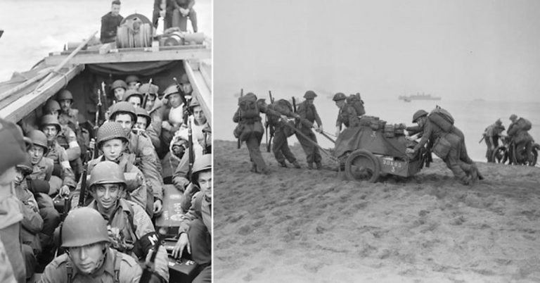 Operation Torch: Allied Forces Strike Back Against the Axis | War ...