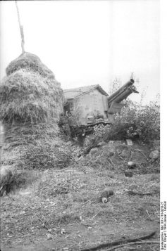 Mobile Artillery - Germany's Grille SPG - 20 PHOTOS | War History Online