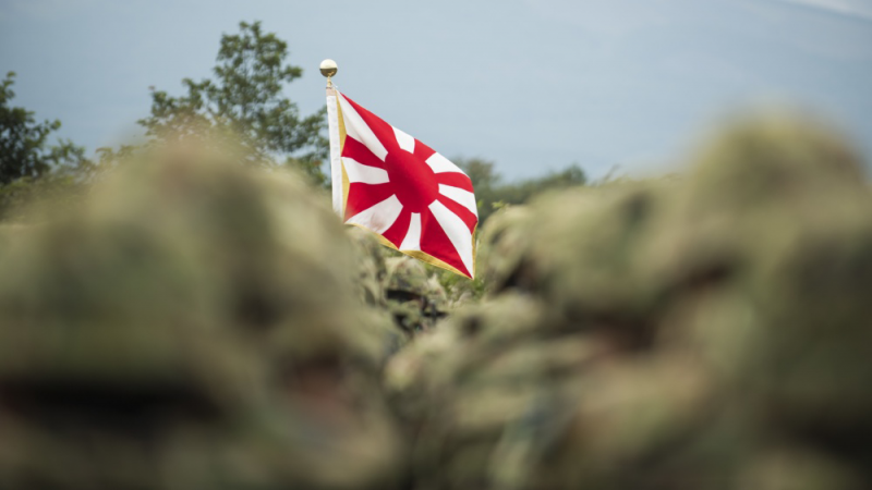 Special Forces - A Comparative Look at Japan's JSFG and the U.S. Green ...