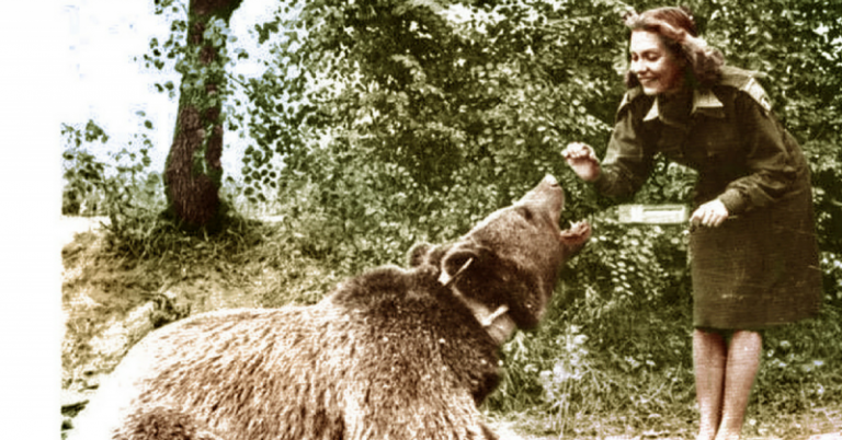 Happy Warrior - Private Wojtek in the Polish Army | War History Online
