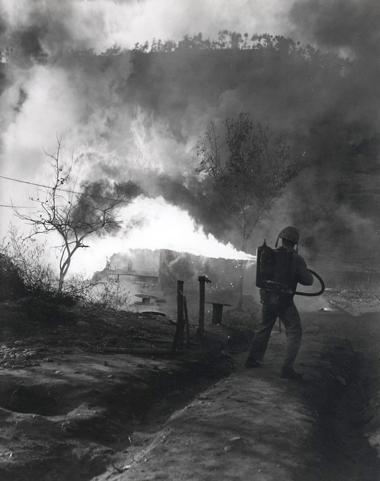 Controversial & Horrifying: 22 Images of Flamethrowers, the Weapon that ...