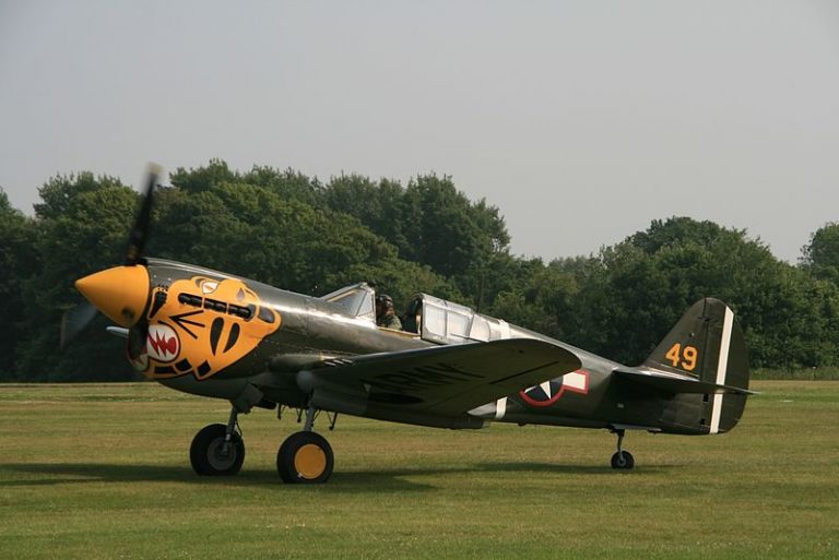 A Flying Tiger - The Curtis P-40 Warhawk in Photos | War History Online