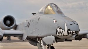 Fantastic Plane, Better Pilot - Kim Campbell Brings Her A10 Warthog ...
