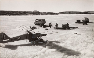 The Ultra-Versatile M29 Weasel in Photos | War History Online