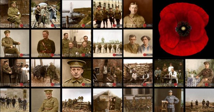 100 Beautiful Colourised Photos of WW1 for the 1918-2018 Centenary ...