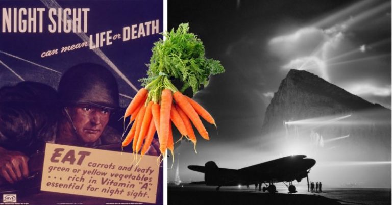 Carrots Improve Your Night Vision: Fact or Propaganda From the RAF ...