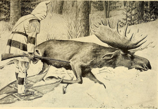 An Examination of Cree Warfare | War History Online