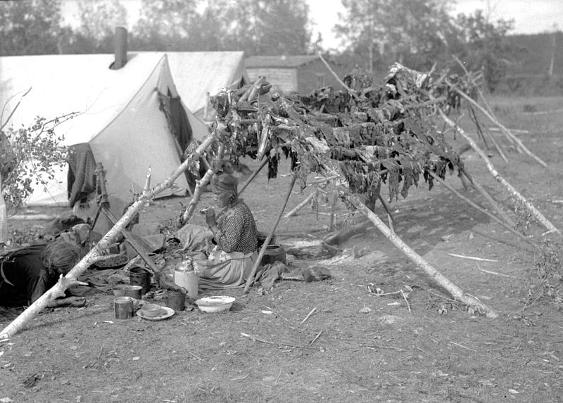 An Examination of Cree Warfare | War History Online