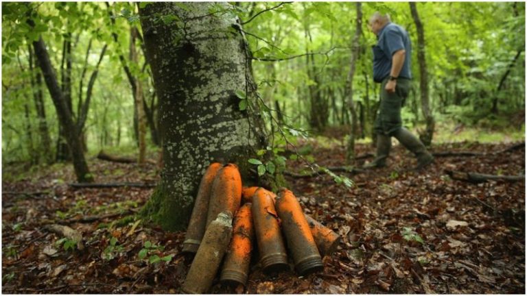 The Damage Done To Europe’s Forests By The World Wars – With Many ...