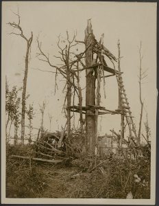 During WWI Fake Trees Were Built To Serve As Observation Posts | War ...
