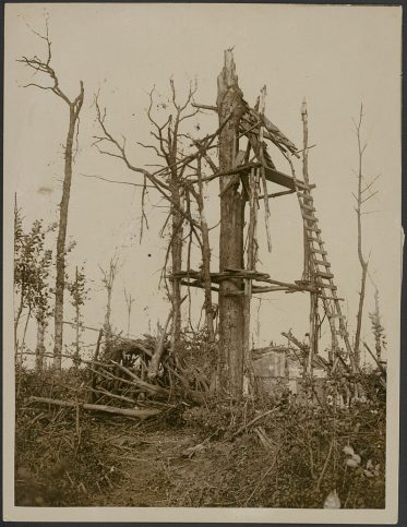 During WWI Fake Trees Were Built To Serve As Observation Posts | War ...