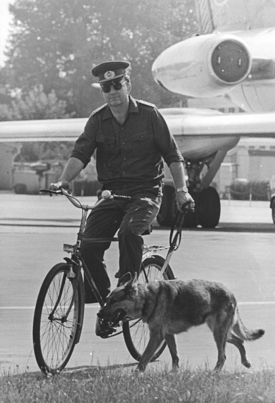 Stalin's kamikaze Canines, Soviets Trained Dogs to Blow up Tanks | War ...