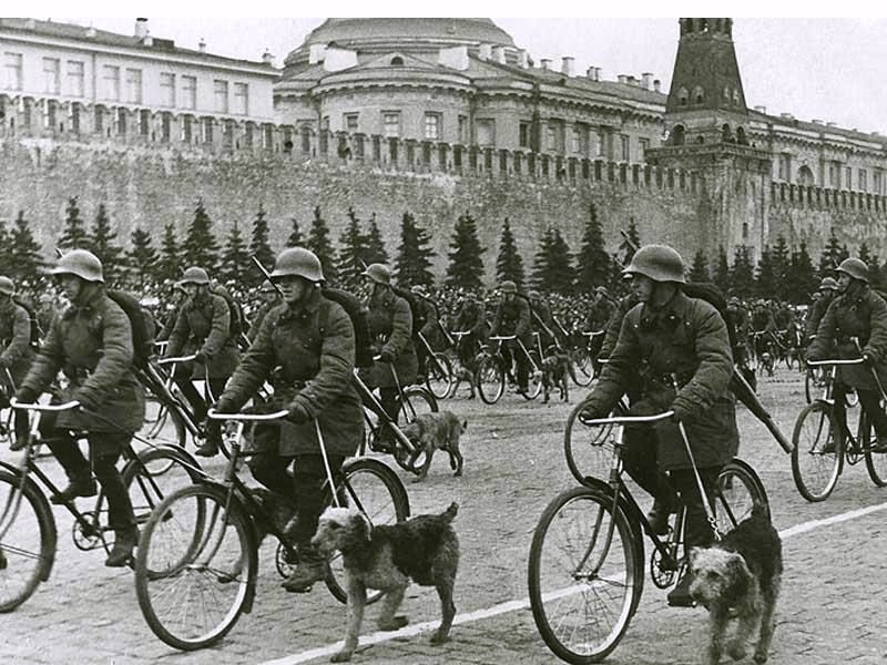 Stalin's kamikaze Canines, Soviets Trained Dogs to Blow up Tanks | War ...