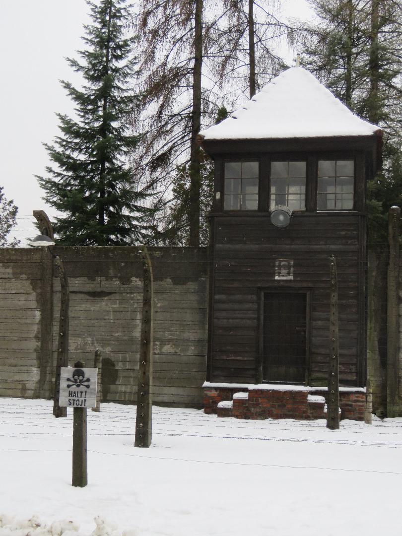 I Visited Auschwitz-Birkenau, The More I Know, the Less I Understand ...