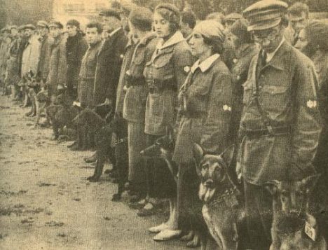 Stalin's kamikaze Canines, Soviets Trained Dogs to Blow up Tanks | War ...