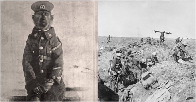 Wacko But True: The Baboon Who Served in WW1 | War History Online