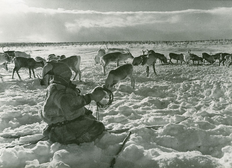 The Russian Reindeer Who Served On A British Sub | War History Online