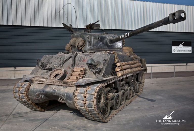 Tiger 1 & Fury Reunited Again at Tiger Day April 27th - Don't Miss It ...