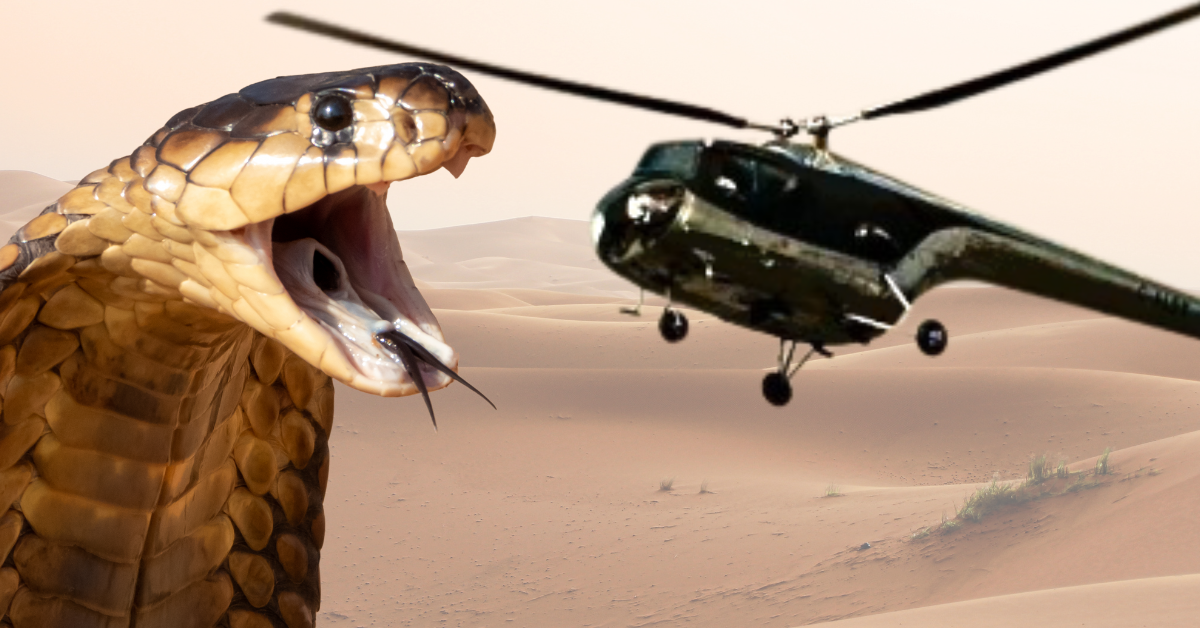 Remy Van Lierde: The WWII Air Ace Whose Helicopter Was Attacked By the ...