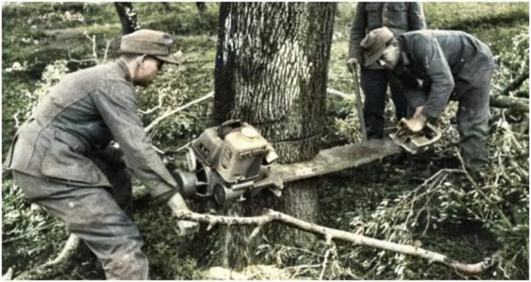 The Chainsaw in WWII: The Germans Cutting Edge | War History Online