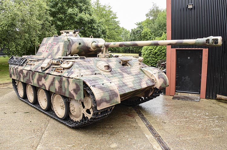 Panther, the Big Cat is Heading Down Under | War History Online