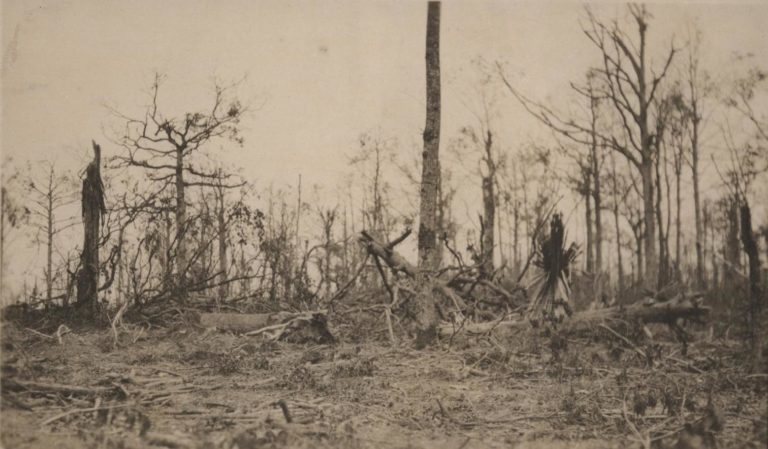 The Battle of Belleau Wood - Brutal WW1 Face Off that saw US Marines ...