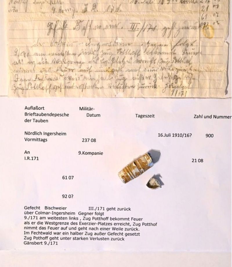 Hundred-Year-Old Carrier Pigeon Message Discovered in French Field ...