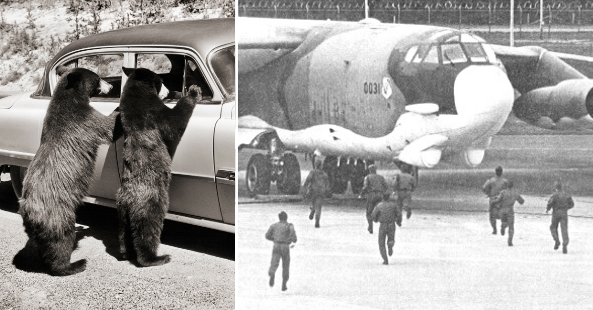 The Time A Black Bear Nearly Set Off A Nuclear War | War History Online