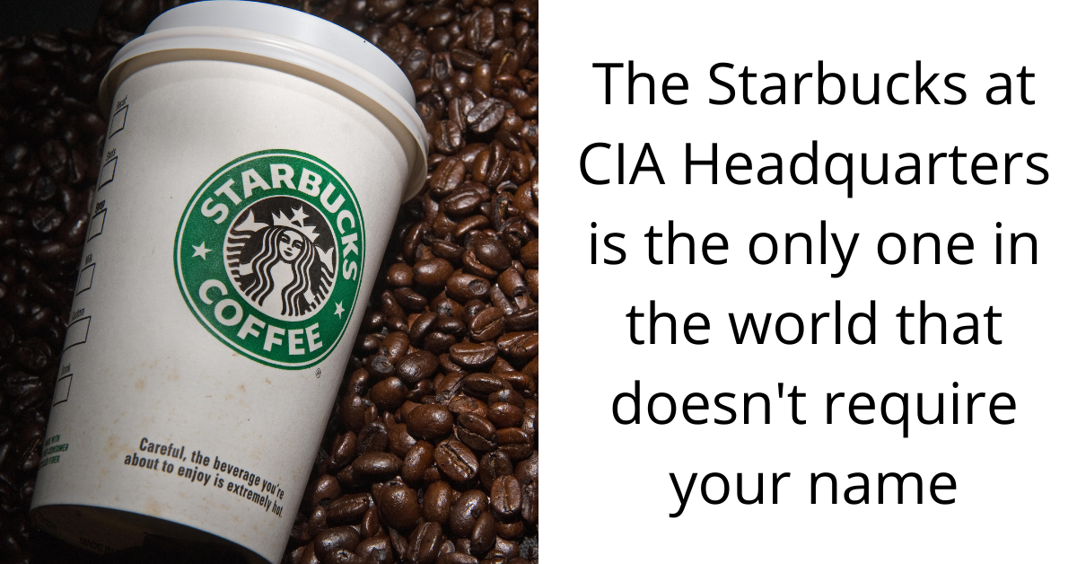 9 Facts About The CIA They'd Probably Like To Stay Secret | War History ...