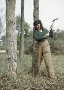 Lumber Jills: The Women Who Made Up Britain's Timber Corps | War ...