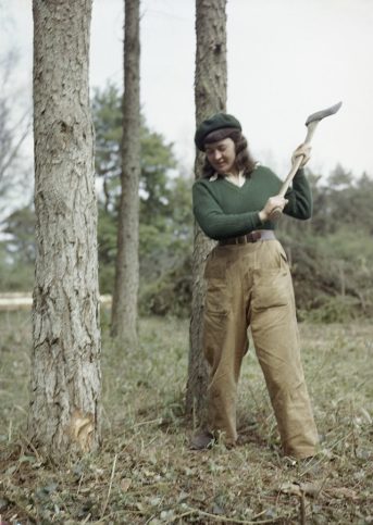 Lumber Jills: The Women Who Made Up Britain's Timber Corps | War ...