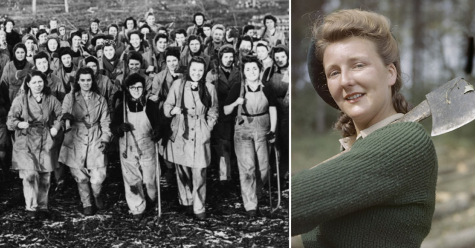 Lumber Jills: The Women Who Made Up Britain's Timber Corps | War ...