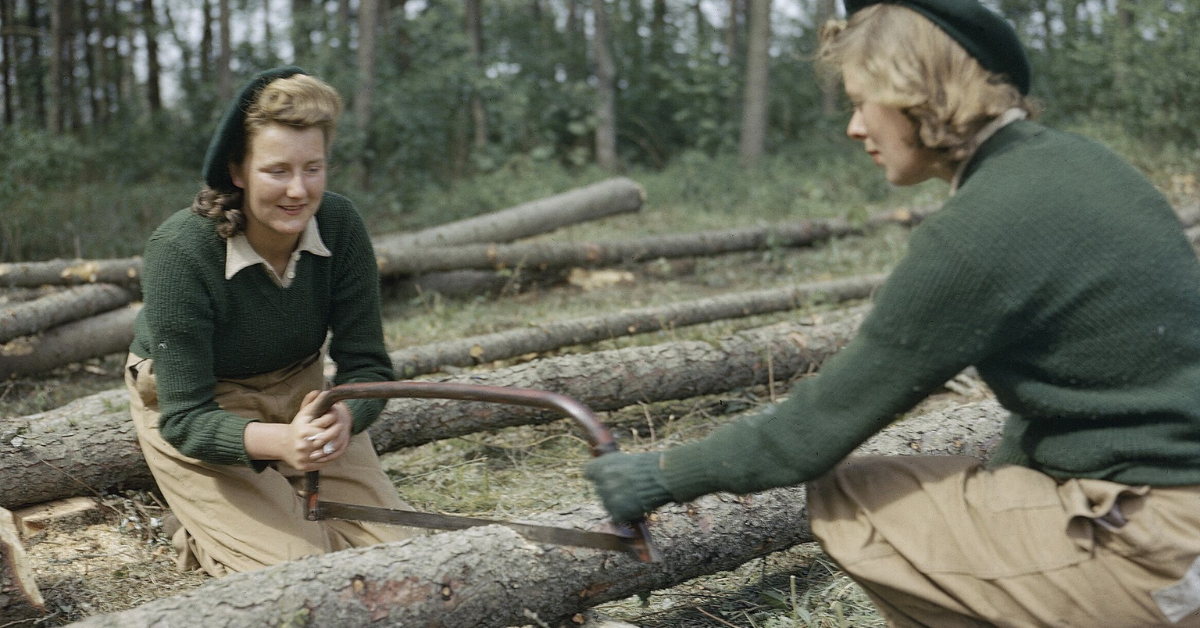 Lumber Jills: The Women Who Made Up Britain's Timber Corps | War ...