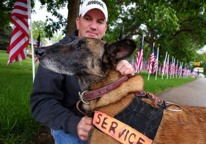VA Launching Service Dog Program For Veterans With PTSD | War History ...